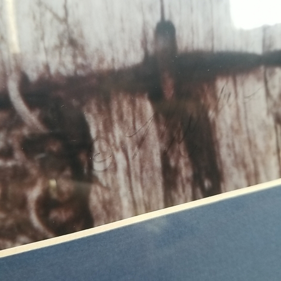 Michael L Smith | Art | Mad Bluebird Print By Michael L Smith Signed ...